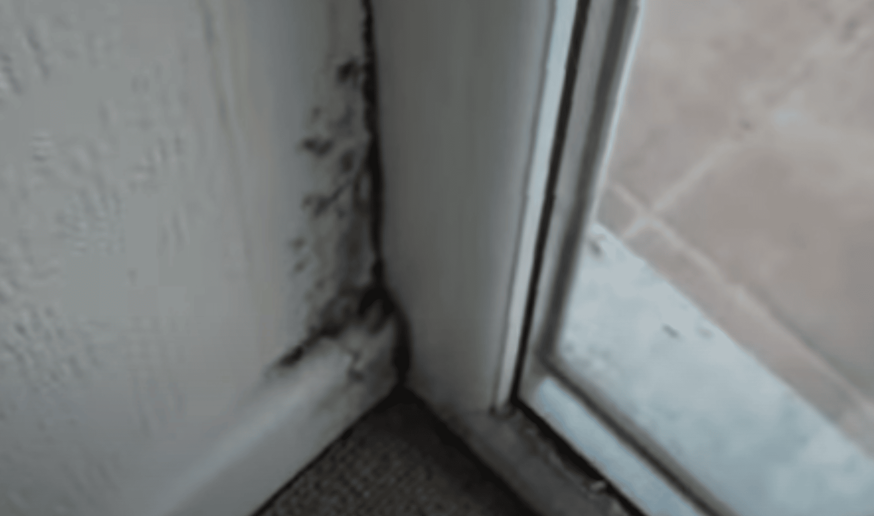 Damp flat or just condensation? - BT Preservation | Damp, Structural ...