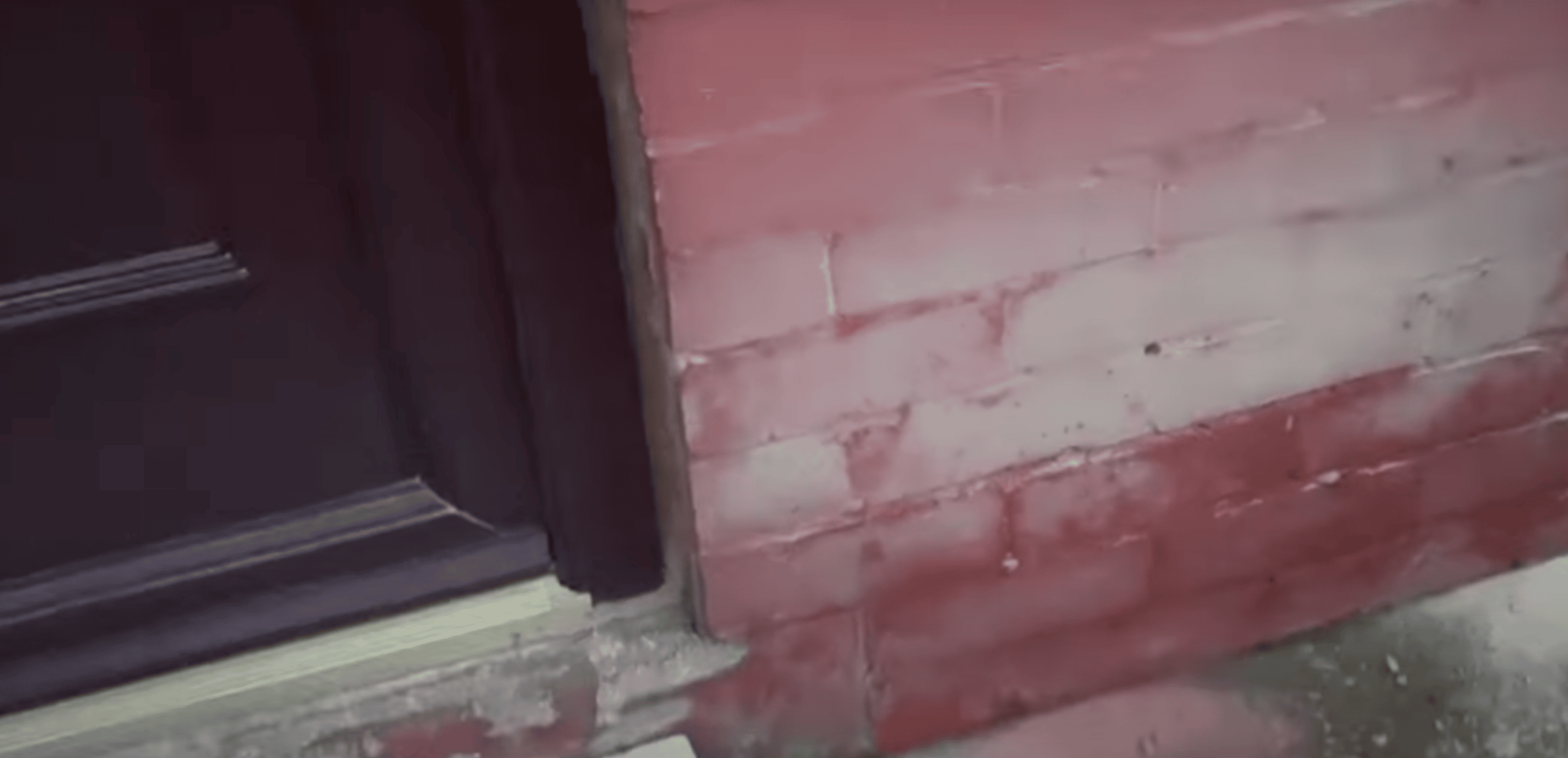 Looks like rising damp? Get an expert to check