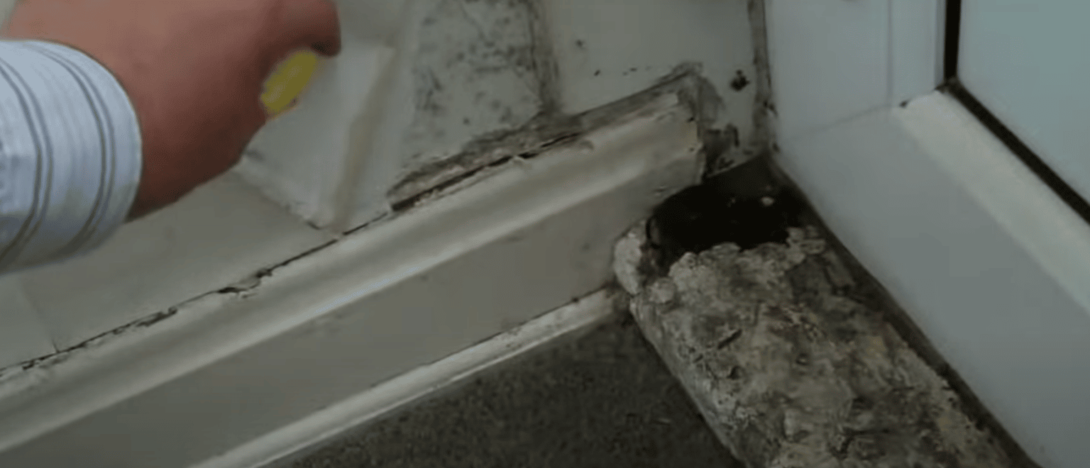 Bridged Damp Course - hidden cause - BT Preservation | Damp, Structural ...