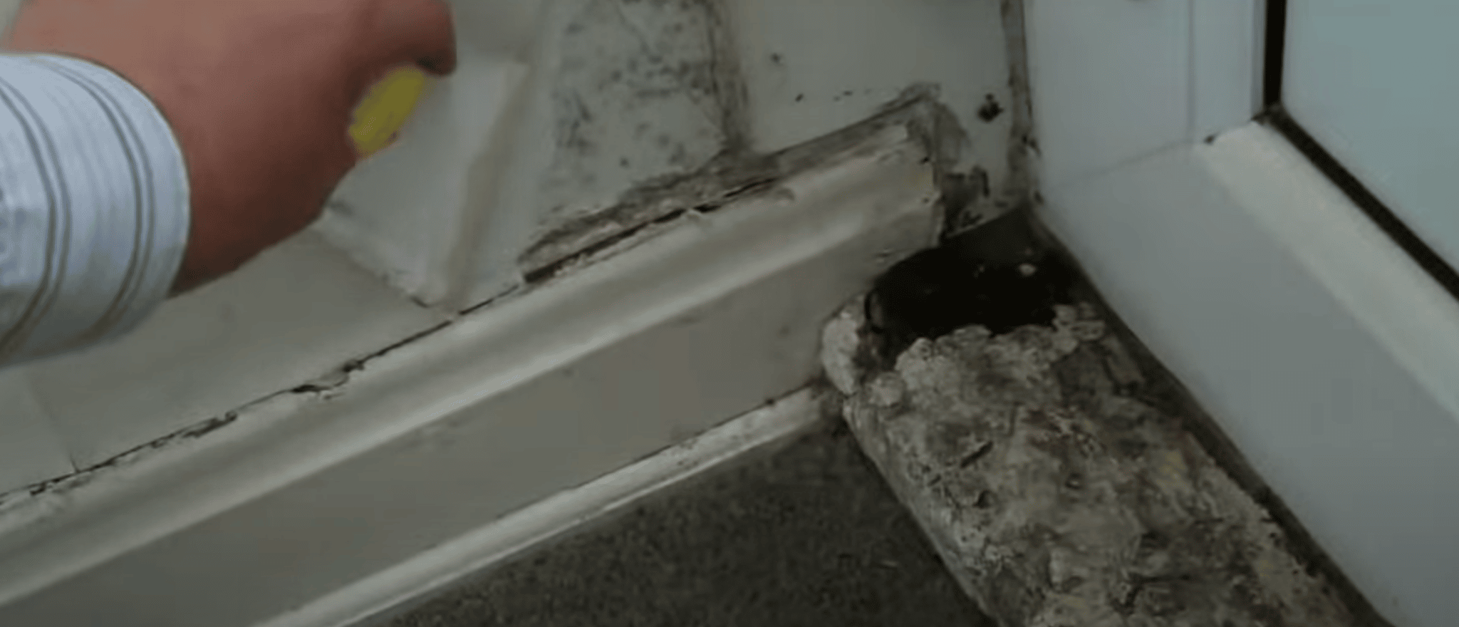 Bridged Damp Course - hidden cause - BT Preservation | Damp, Structural ...