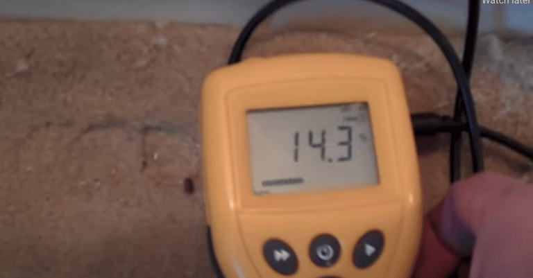How To Use A Moisture Meter Video | BT Preservation