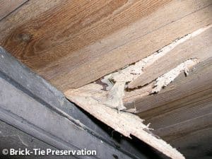 Is that woodworm active? The answers in Yorkshire - BT Preservation ...