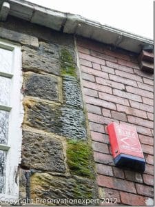 What is Dry Rot? - BT Preservation | Damp, Structural Repair and Timber ...
